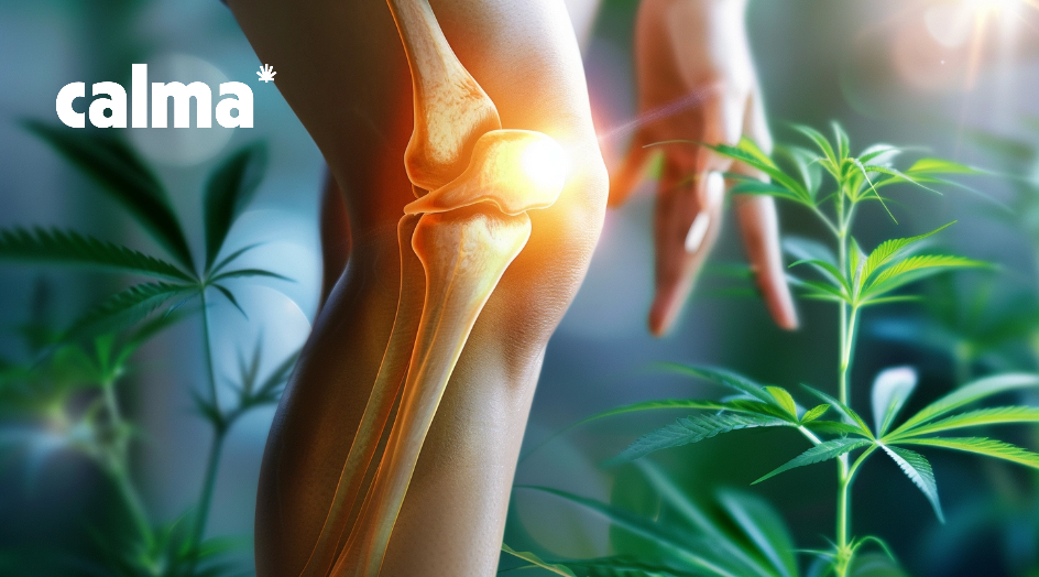 CBD for the joints - plant power for joint pain!